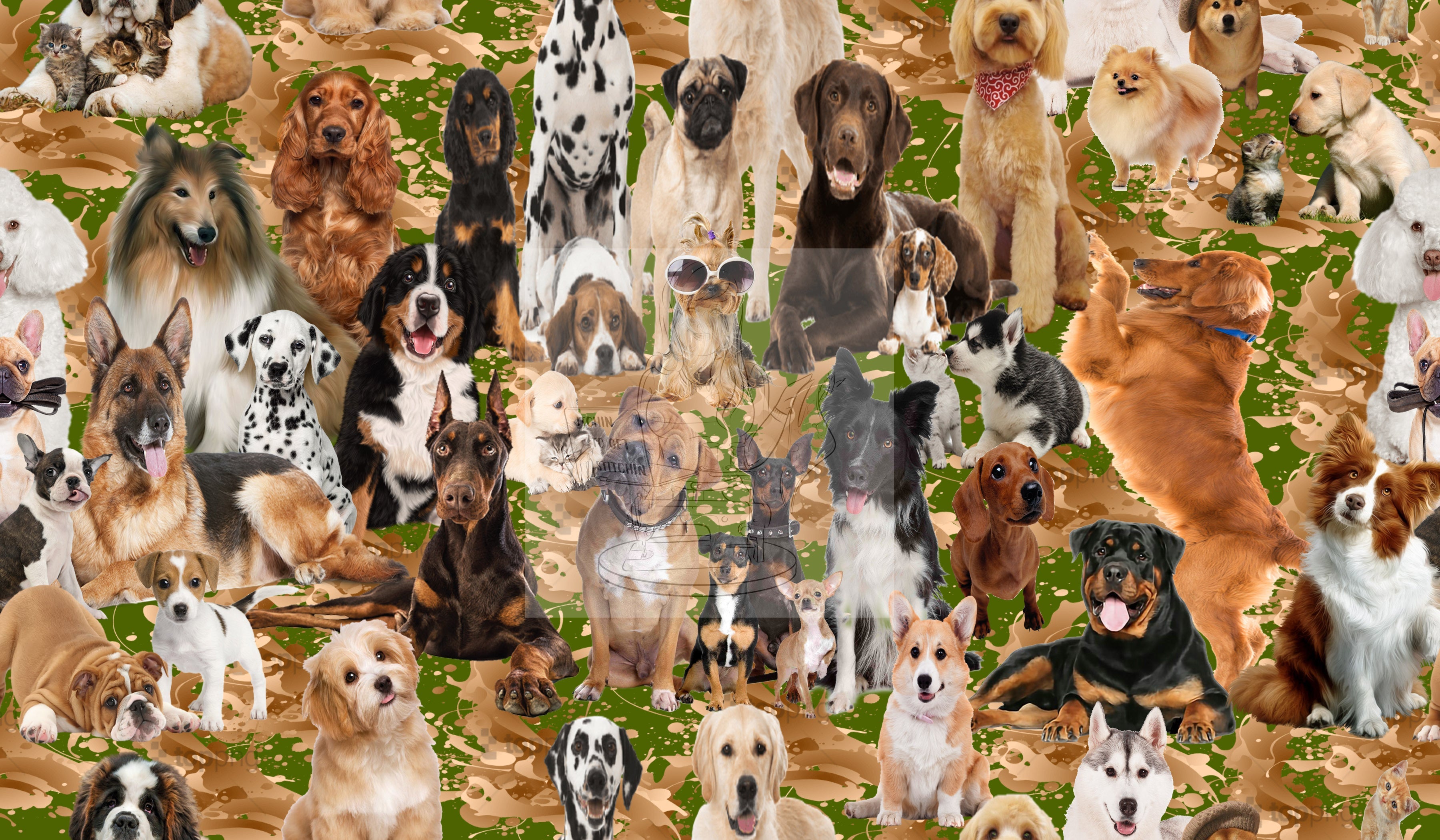 Bow Wow Gang - Exclusive – Itchin To Get Stitchin 2